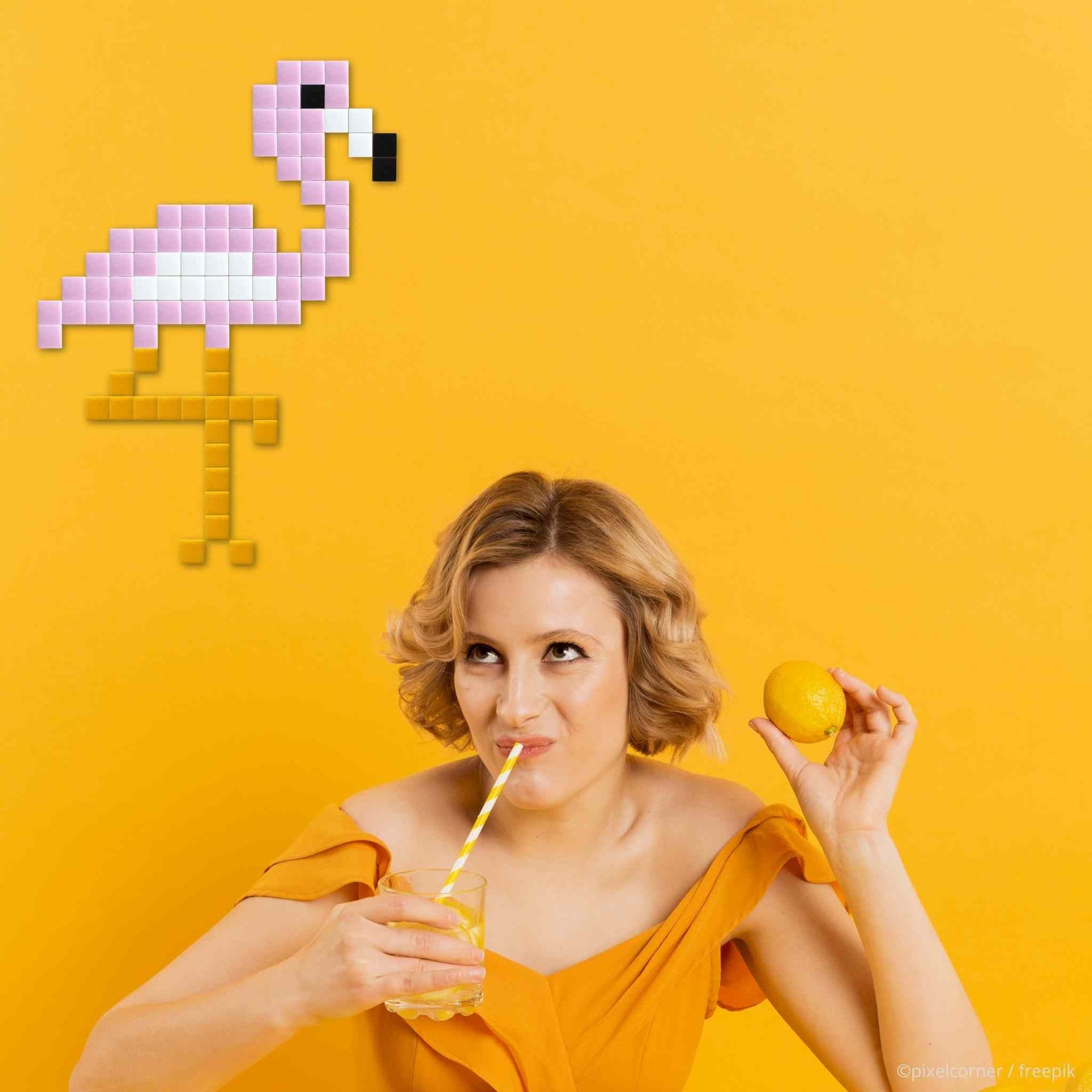 Pixel Art Kit " El Flamingo" - Un Flamant Rose en Style Rétro 8-Bit
